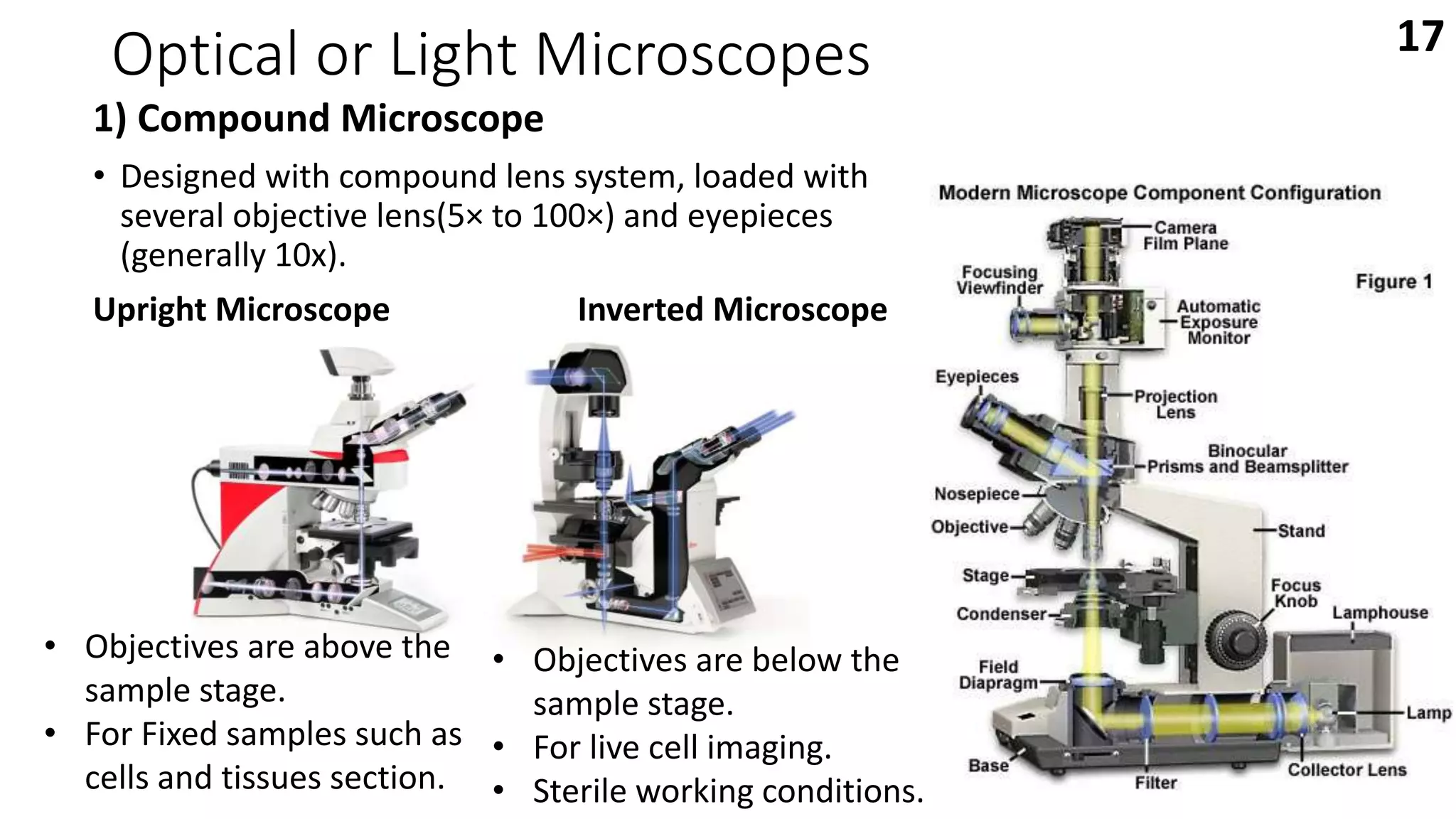 microscopy ppt.pptx