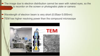 electron microscopy | PPT
