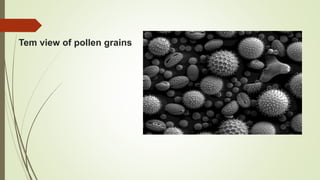 electron microscopy | PPT