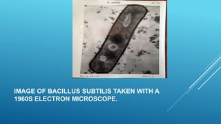 electron microscopy | PPT