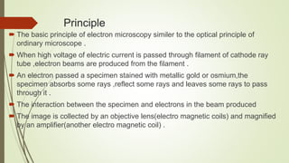 electron microscopy | PPT