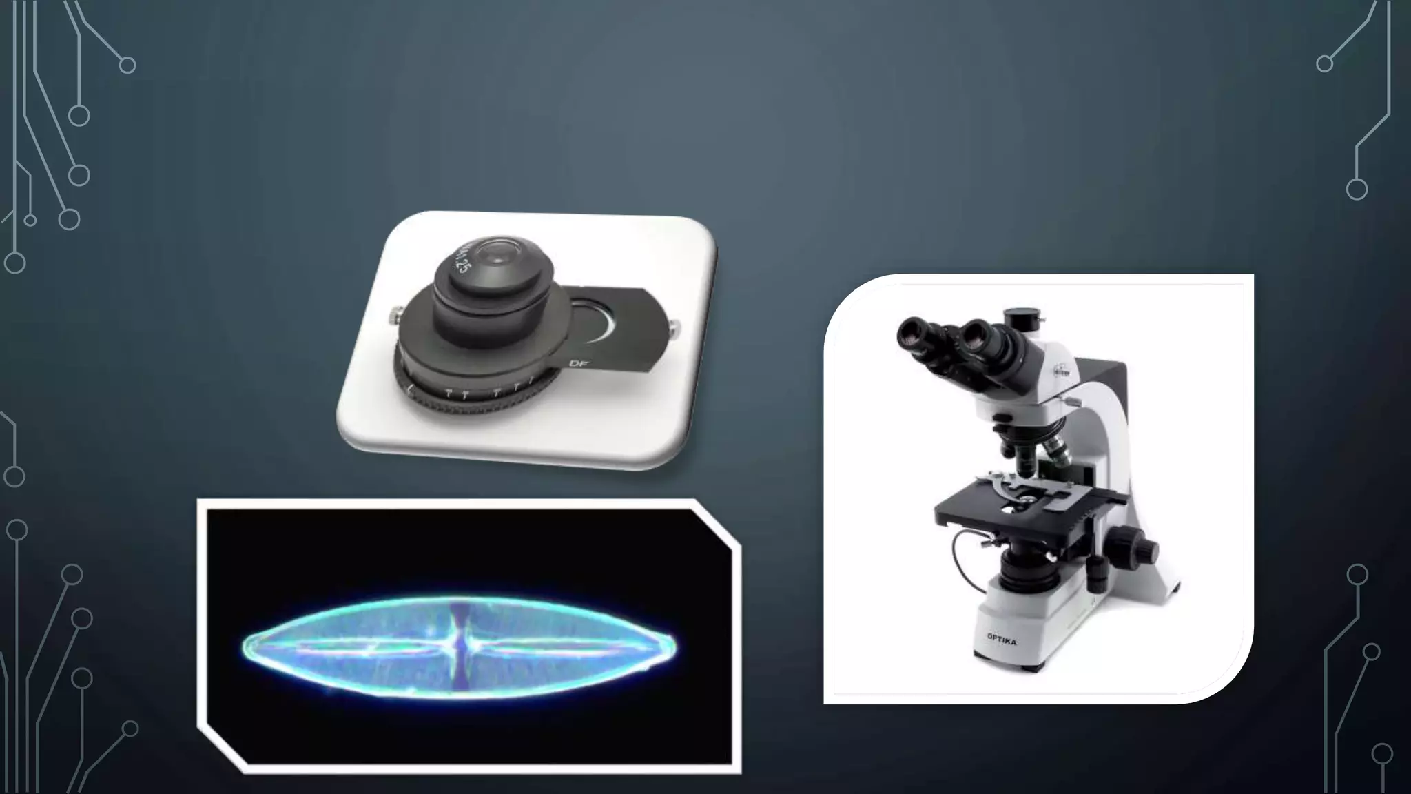 Microscopy presentation | PPTX