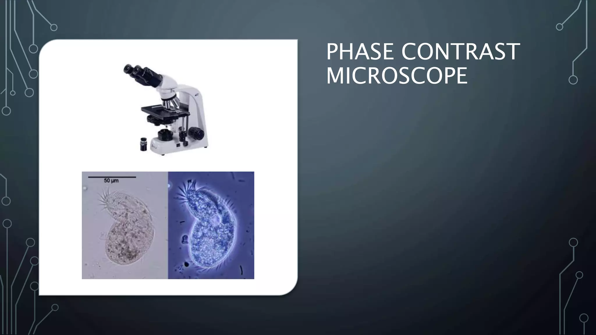 Microscopy presentation | PPTX