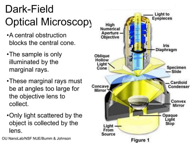 Microscopy_&_Resolution.ppt