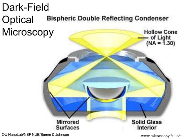 Microscopy_&_Resolution.ppt