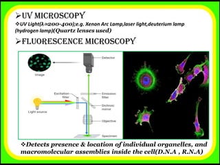 MICROSCOPY SEMINAR PRESENTATION BY SITESH) | PDF