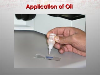 Microscopy smear examination 2014 | PPT