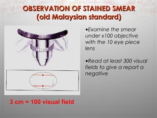 Microscopy smear examination 2014 | PPT