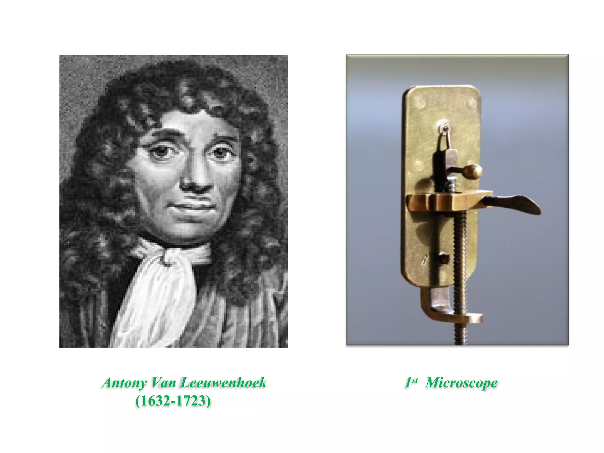 Microscopy & Staining | PPT