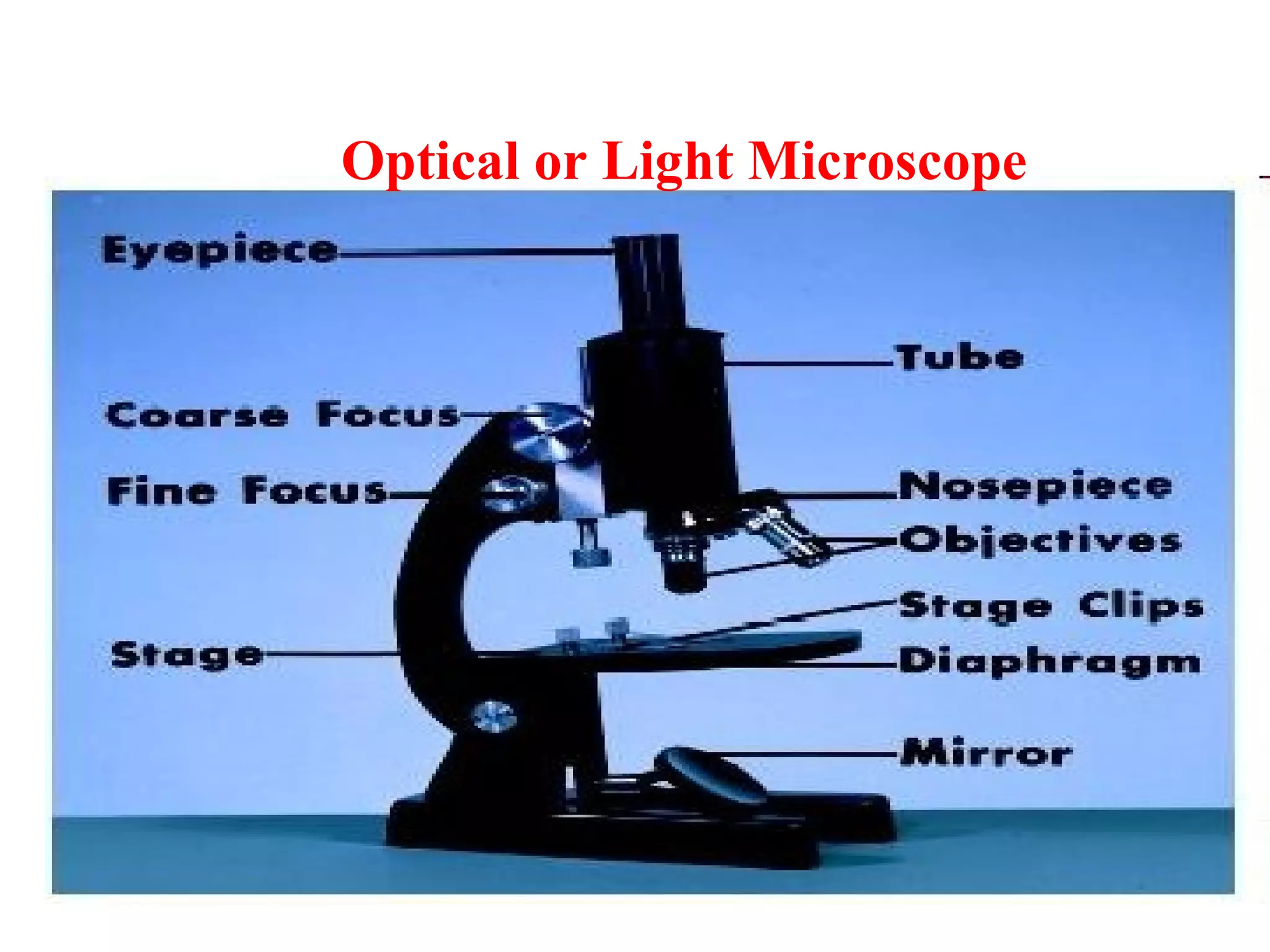 Microscopy & Staining | PPT