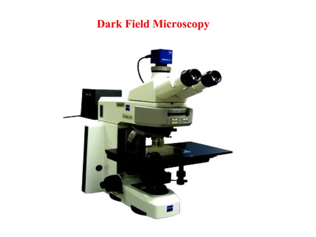 Microscopy & Staining | PPT | Photography | Arts and Crafts