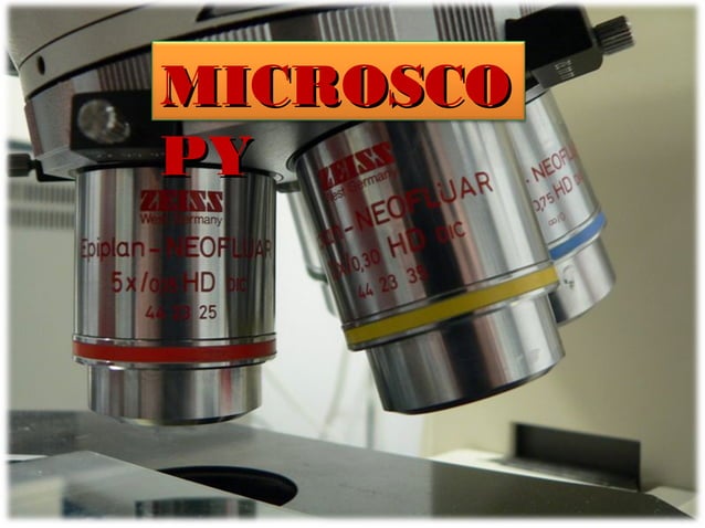 Microscopy & Staining | PPT | Photography | Arts and Crafts
