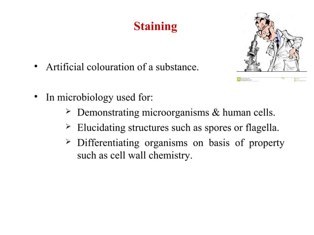 Microscopy & Staining | PPT | Photography | Arts and Crafts