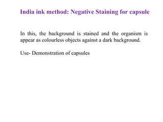 Microscopy & Staining | PPT