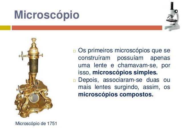 O Microscópio