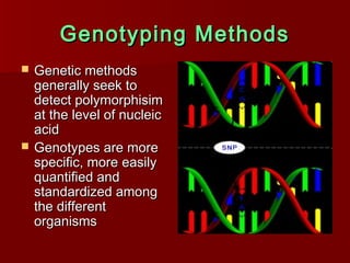 Molecular methods of diagnosing infectious disease | PPT