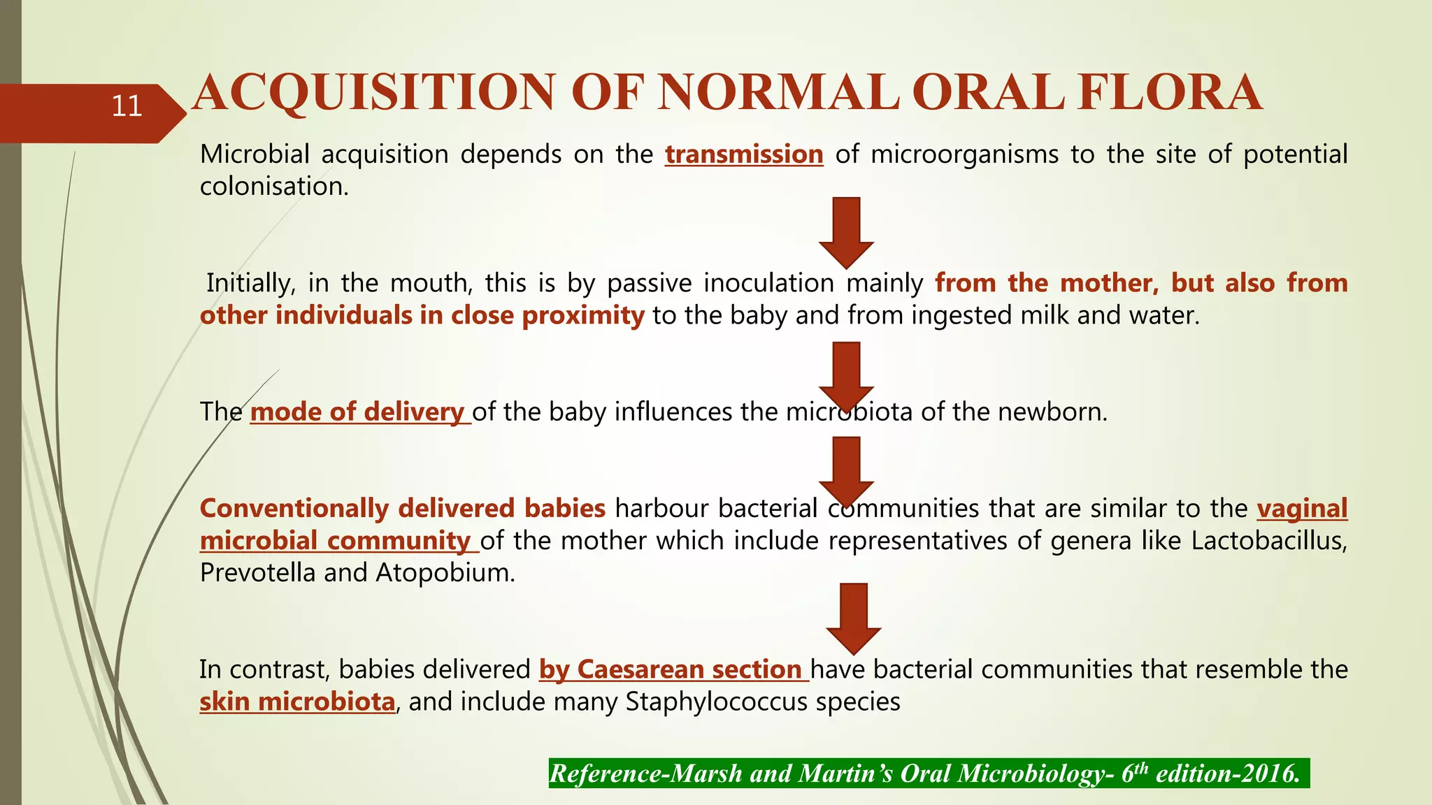 Oral microbial flora | PPTX