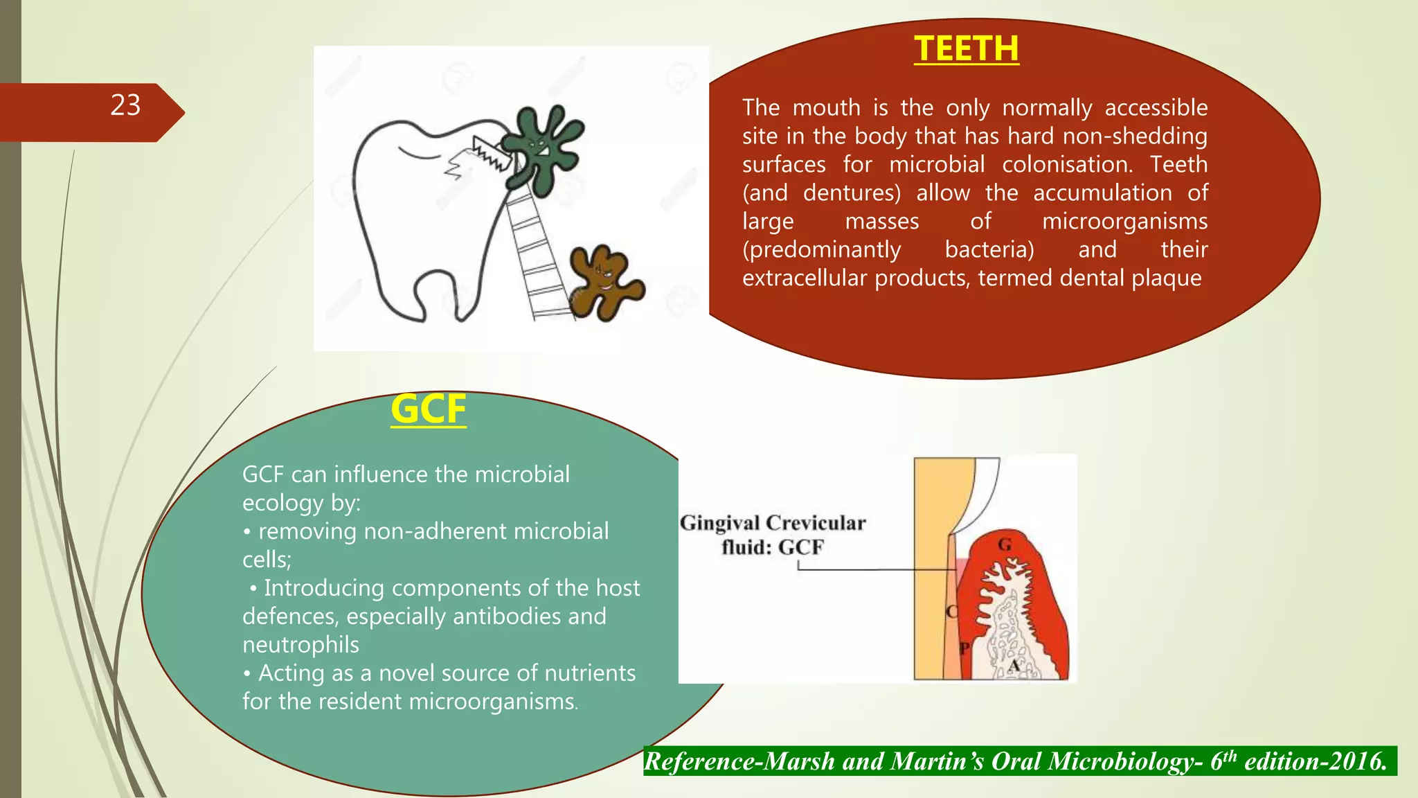 Oral microbial flora | PPTX
