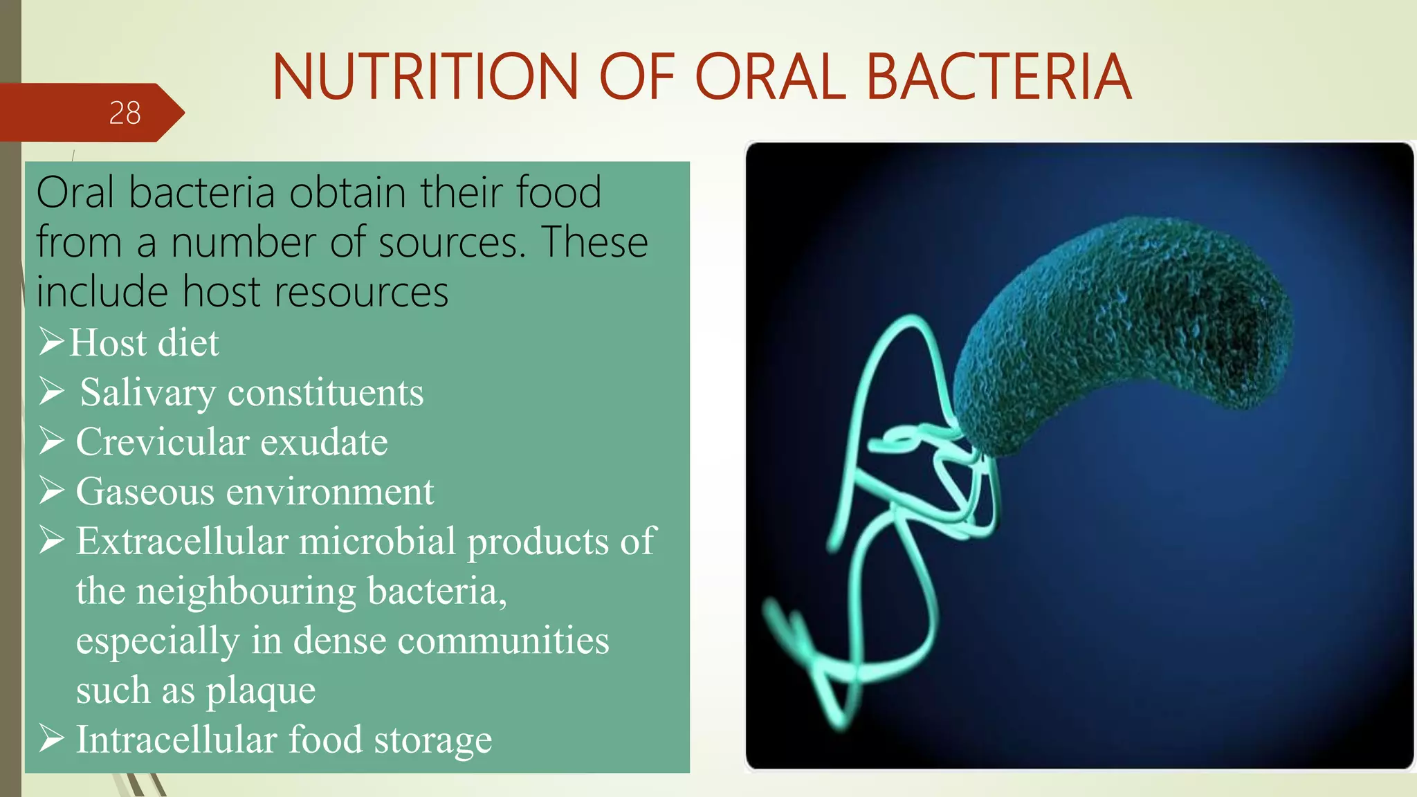 Oral microbial flora | PPTX