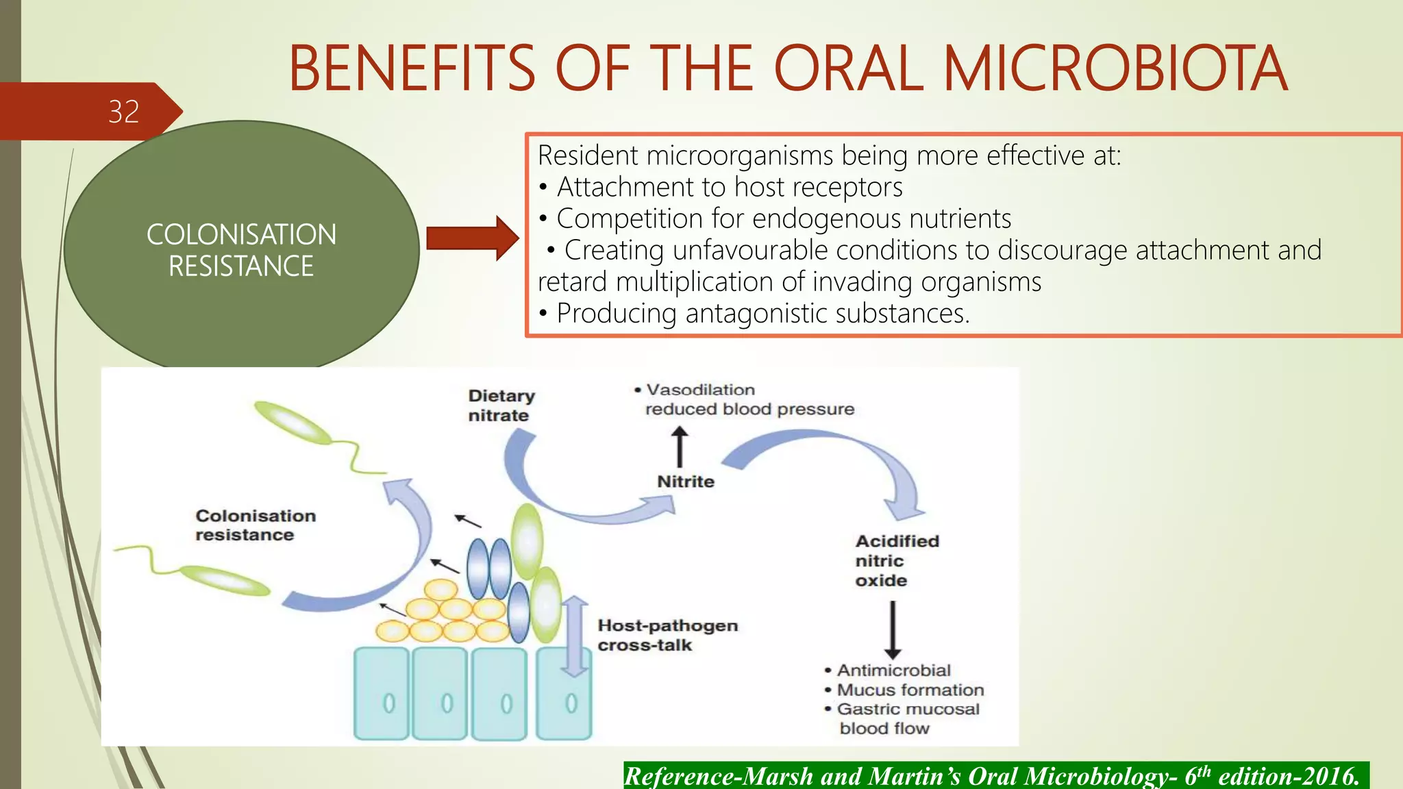 Oral microbial flora | PPTX