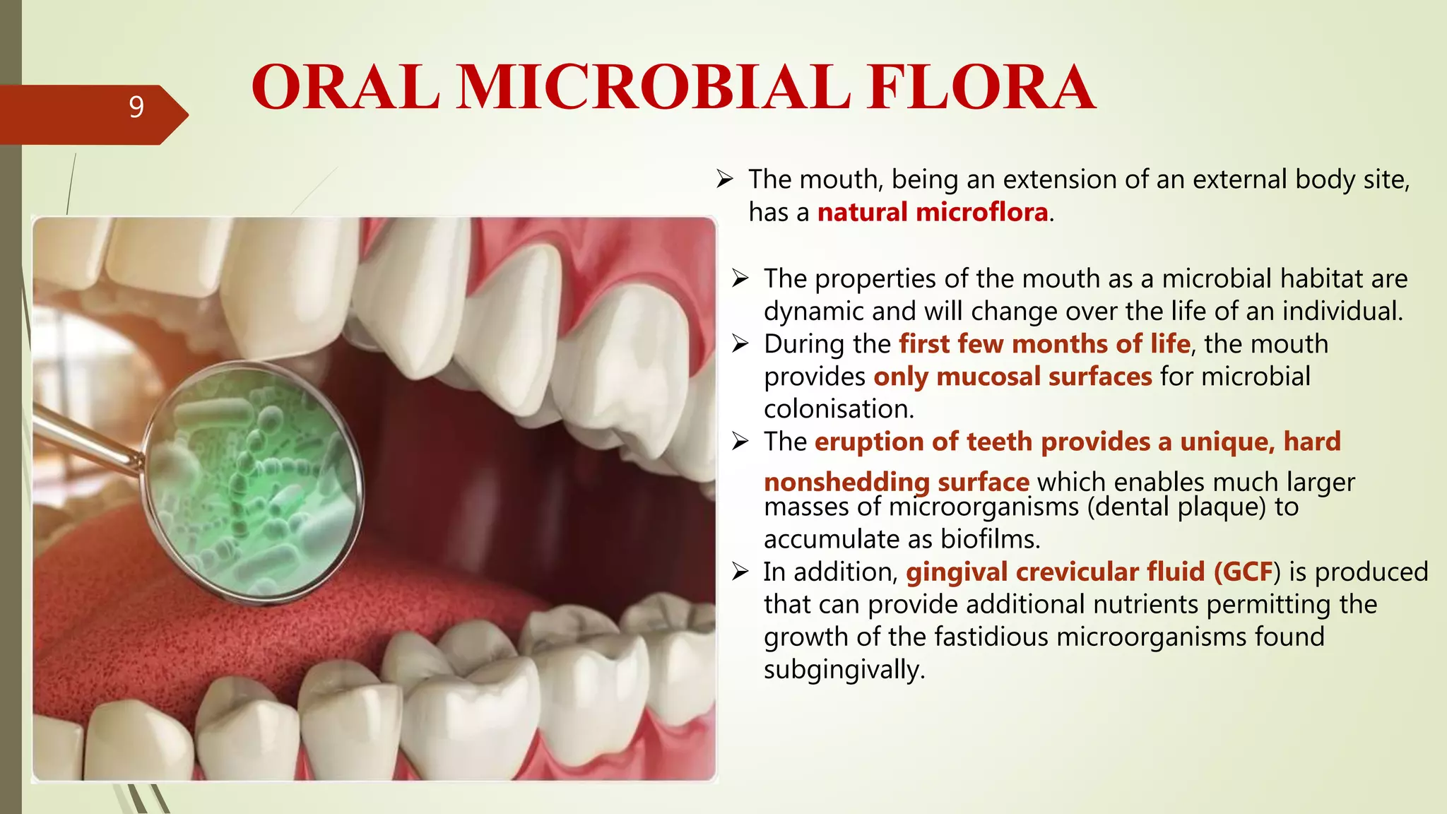 Oral microbial flora | PPTX
