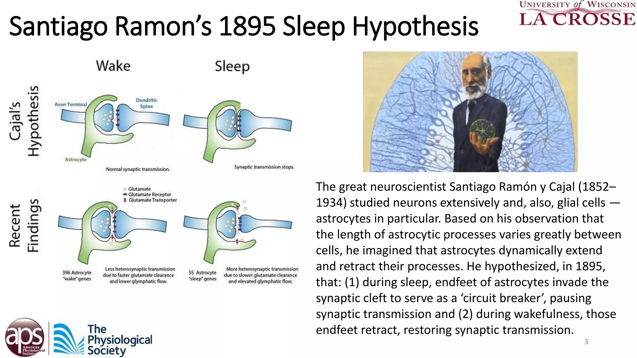 Microsleepome final powerpoint.ppt | Digestive Disorders | Diseases and ...