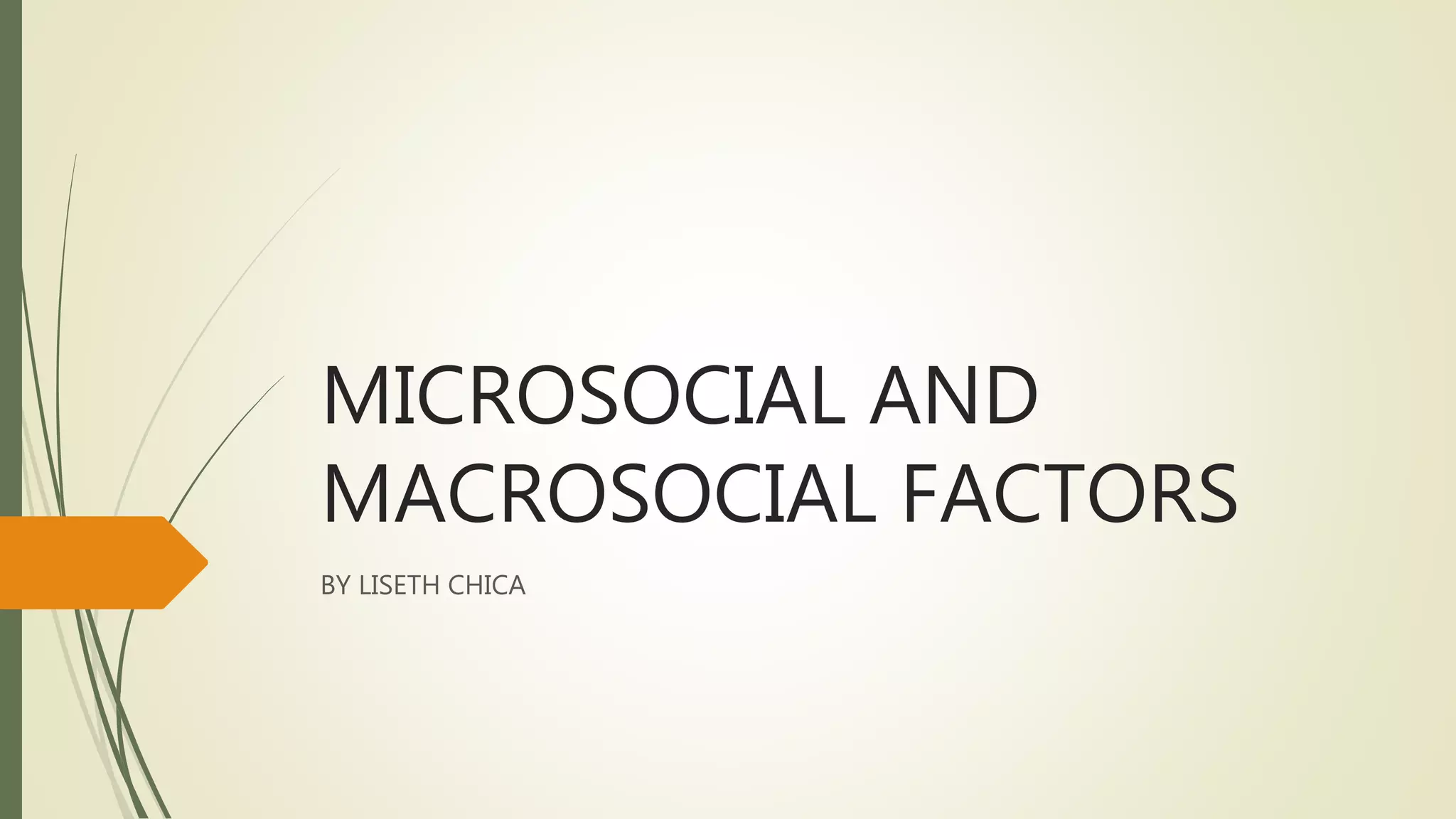 Microsocial and macrosocial factors | PPTX