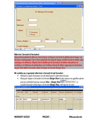 Microsoft access-projekt-ne-word | PDF
