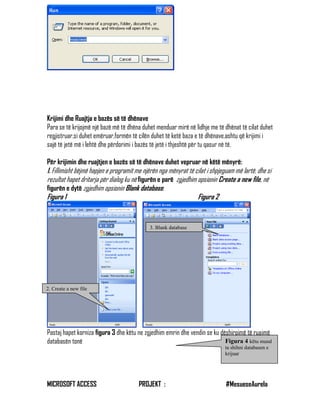 Microsoft access-projekt-ne-word | PDF