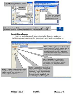 Microsoft access-projekt-ne-word | PDF