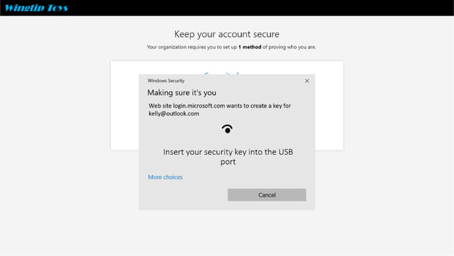 Microsoft's Implementation Roadmap for FIDO2 | PDF