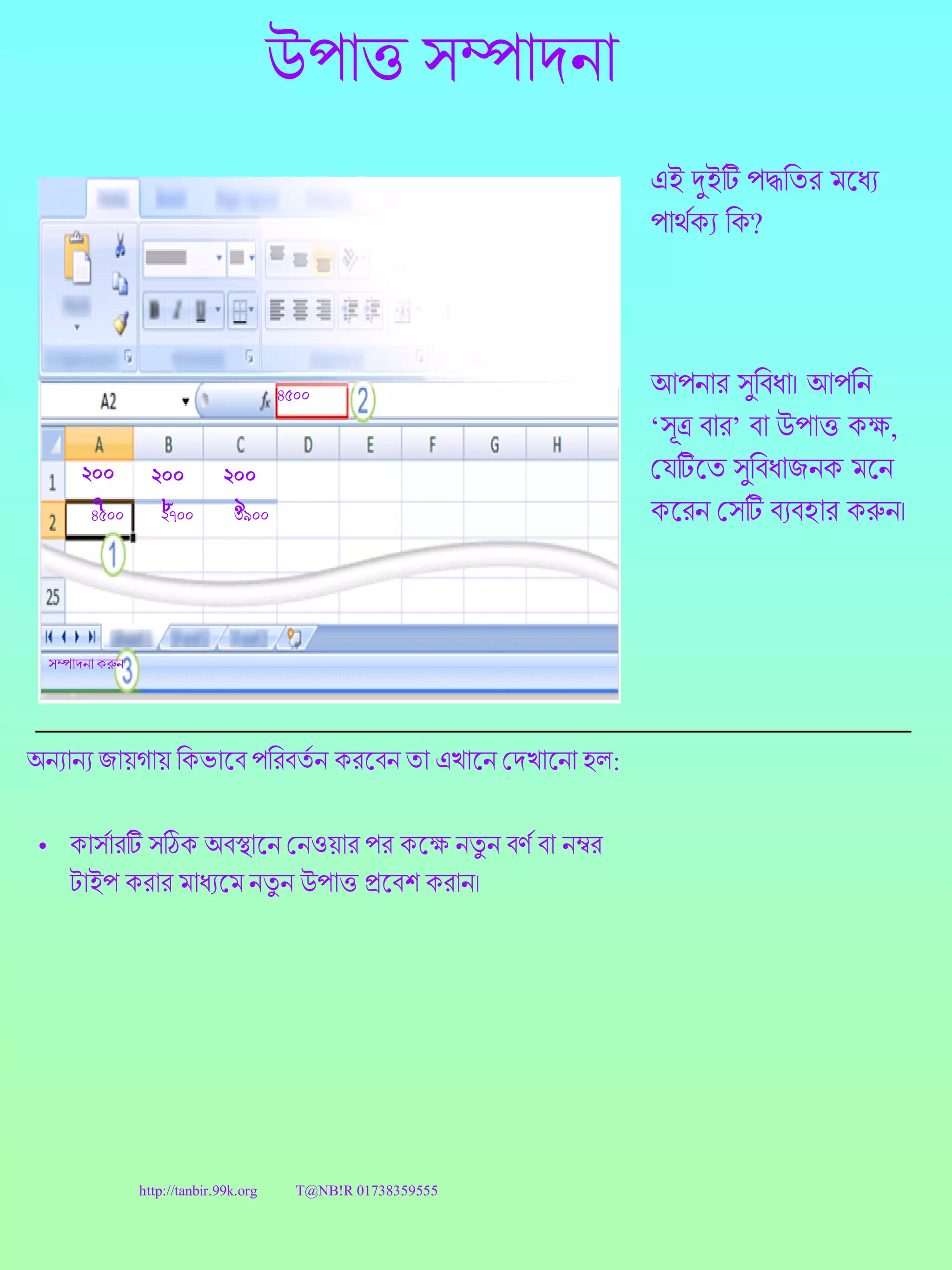 Microsoft office excel | PDF