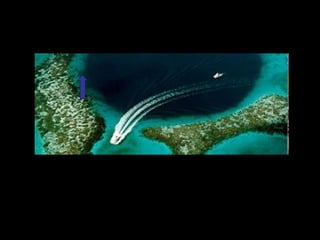 Blue Holes | PPT