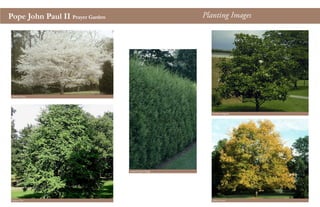 Pope John Paul II Prayer Garden | PDF