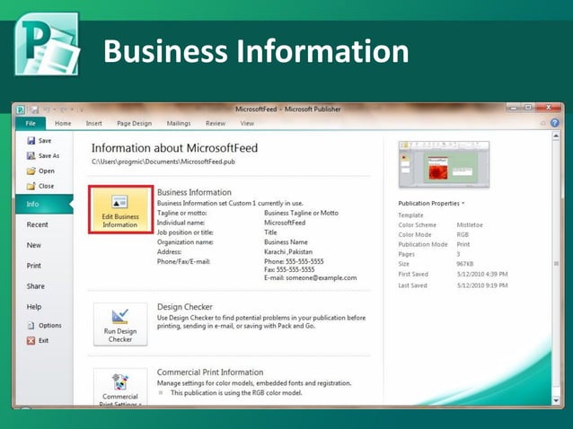 Microsoft publisher-2010 | PDF