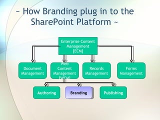 Microsoft Share Point Branding & Customization | PPT | Computing | Technology & Computing