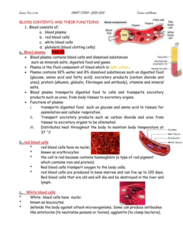 Form 3 Science Chapter 2 | PDF | Heart and Cardiovascular Diseases ...