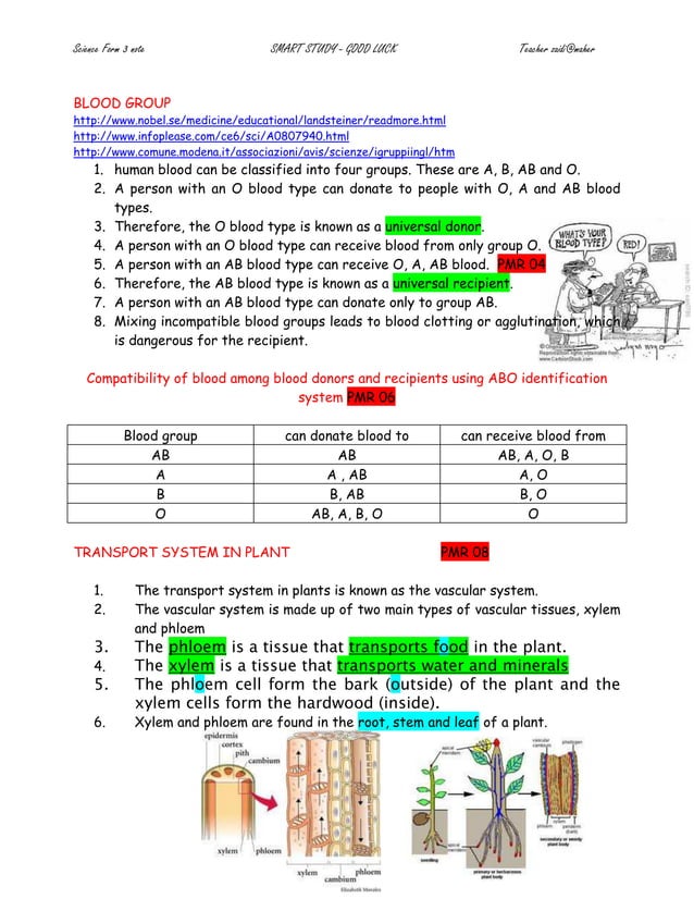 Form 3 Science Chapter 2 | PDF | Heart and Cardiovascular Diseases ...