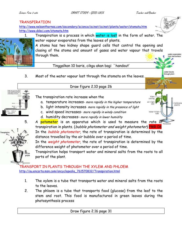 Form 3 Science Chapter 2 | PDF | Heart and Cardiovascular Diseases ...
