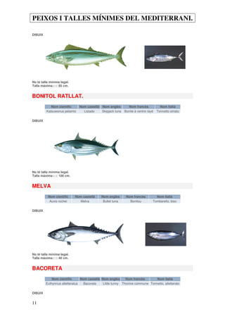 PEIXOS DEL MEDITERRANI | PDF