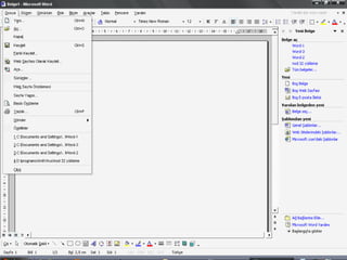 Microsoft Word | PPT