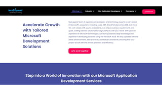 Microsoft Application Development services .pdf