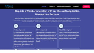 Microsoft Application Development services .pdf