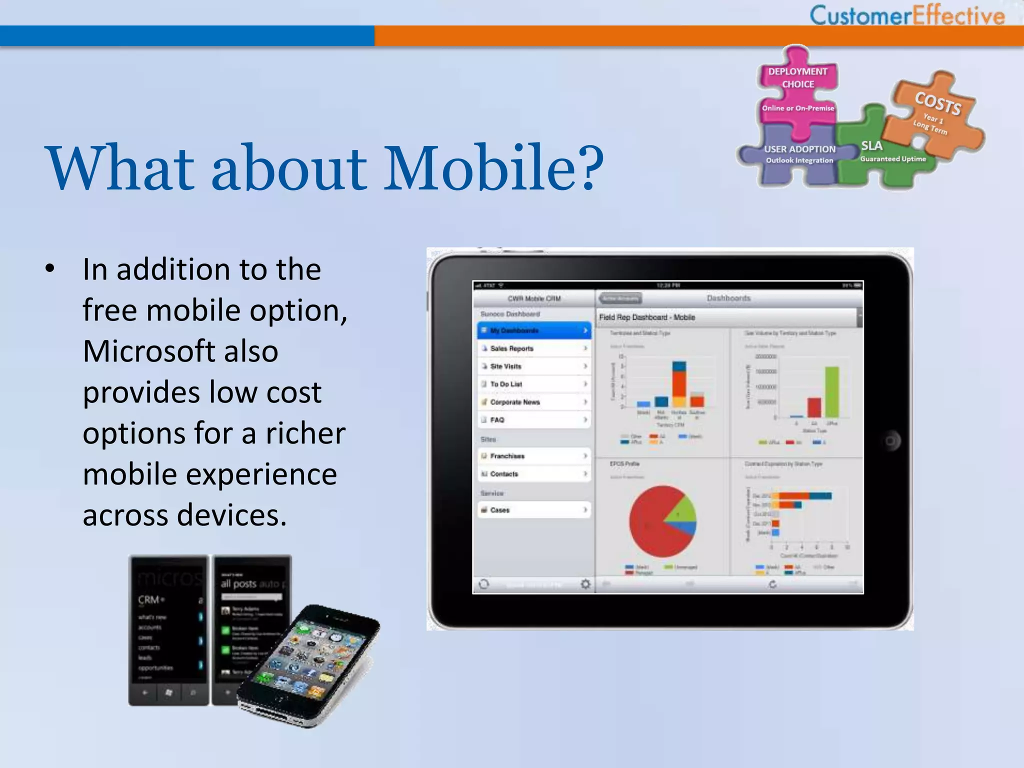 Microsoft Crm Vs Salesforce Pptx Computing Technology And Computing