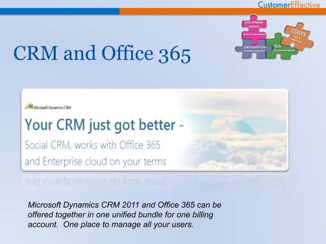 Microsoft Crm Vs Salesforce Pptx Computing Technology And Computing