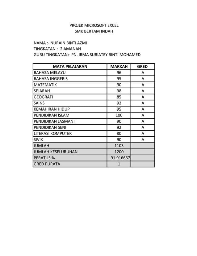 Microsoft excel | PDF