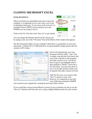 Microsoft excel | PDF