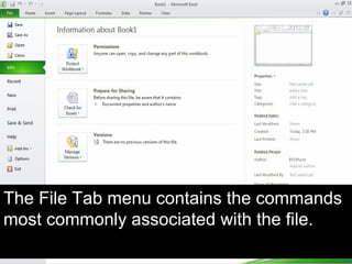 Microsoft excel | PPT