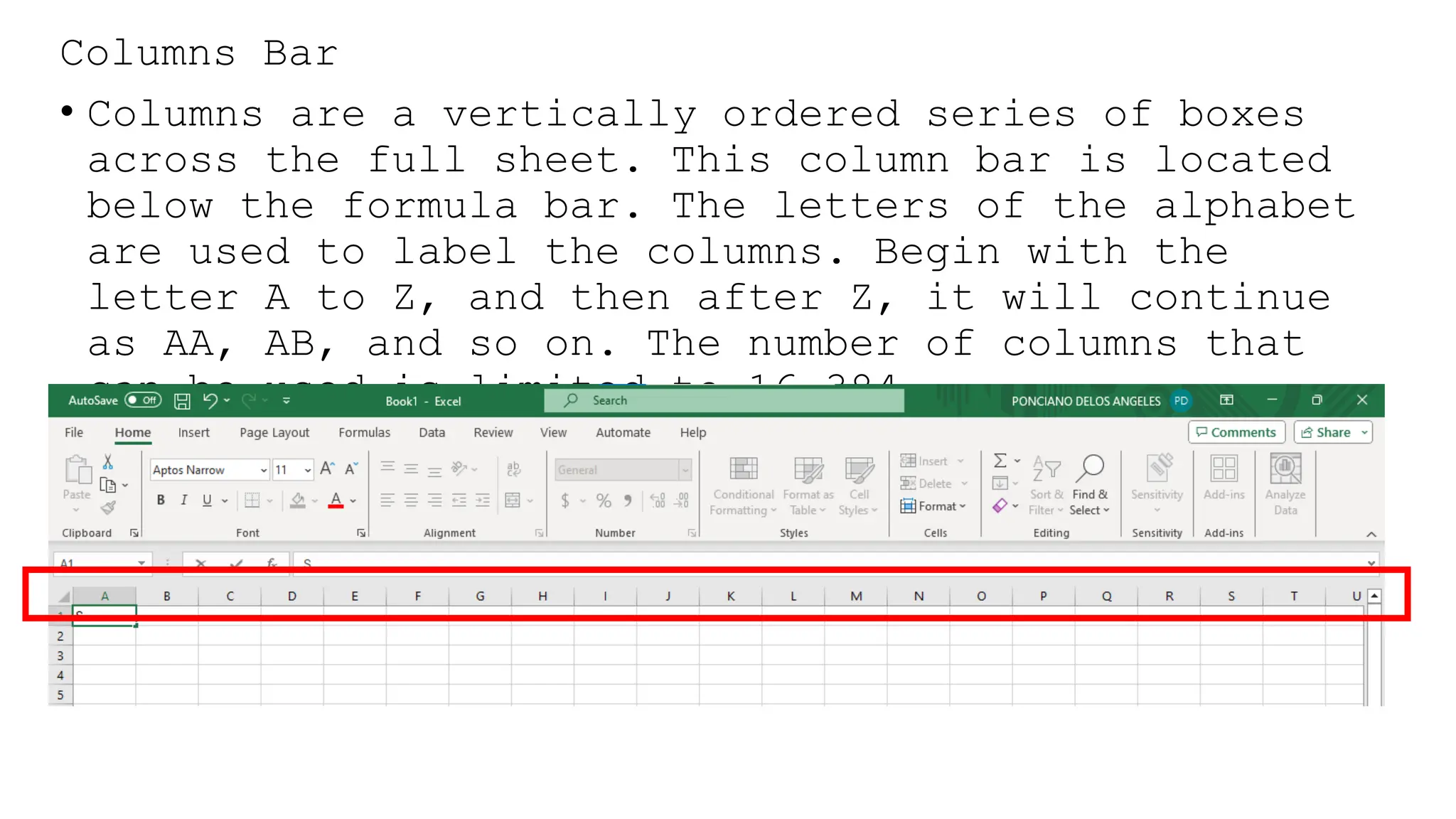 The Microsoft excel and its parts and functions.pptx