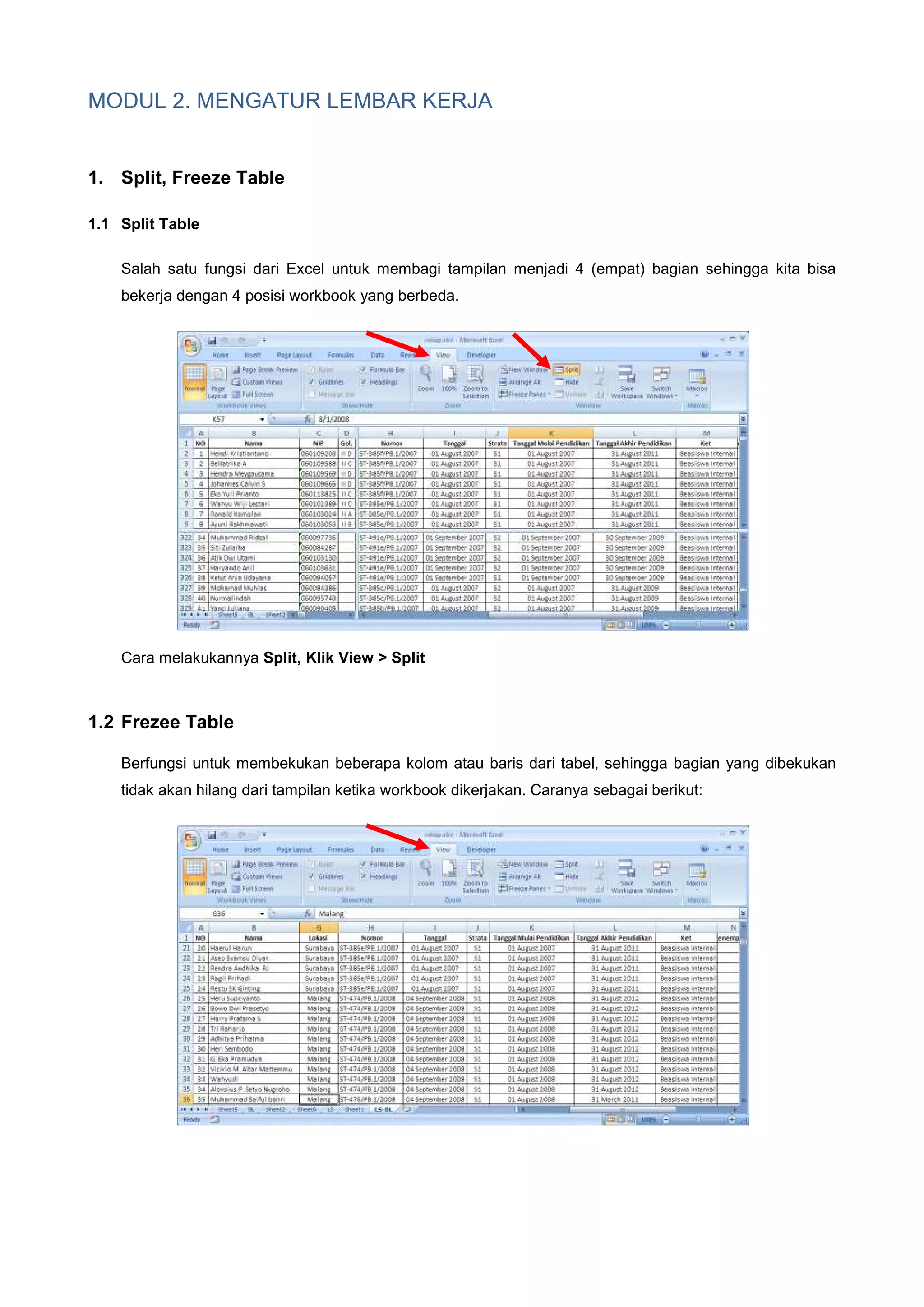 modul pembelajaran microsoft excel tingkat mahir | PDF